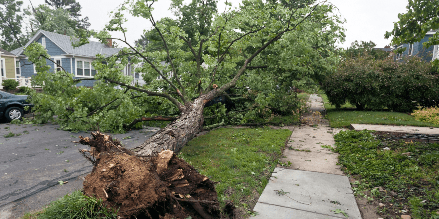 Got Water Damage from the Upstairs Condo? Here's what to do.